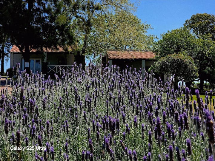 Cottage 2 - Klapmuts