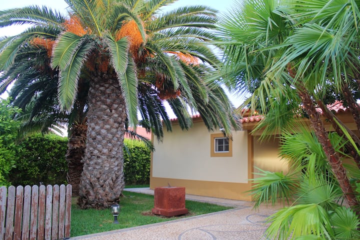 Maison à Porto Santo - Porto Santo Island