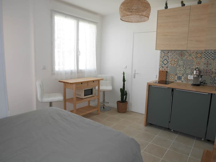 Cactus : Studette à Montreuil - Montreuil