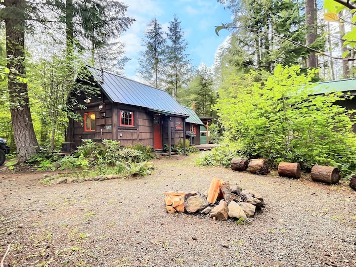 Ohana Cabin | Wifi, Wood Stove, Ac, Hot Tub - Packwood, WA