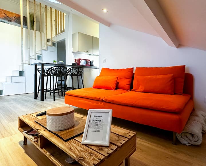 Atypique Sous Château Vieille Ville - Ibis Annecy - Cran-Gevrier