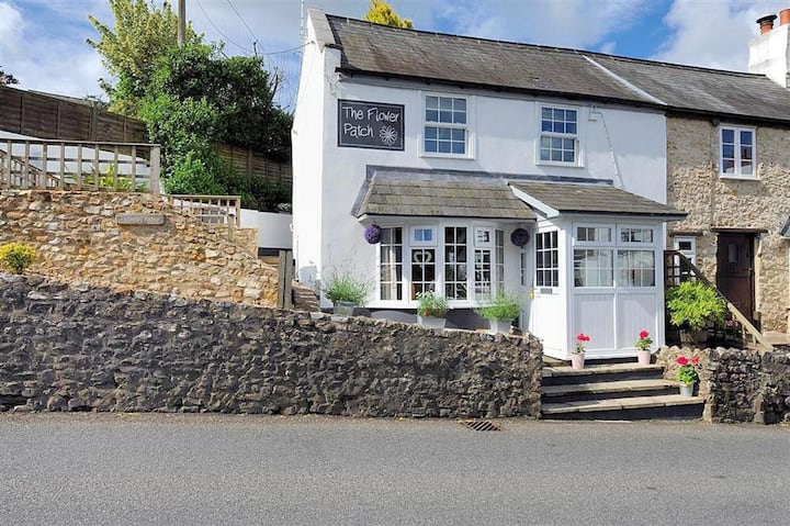 The Flower Patch - Lyme Regis