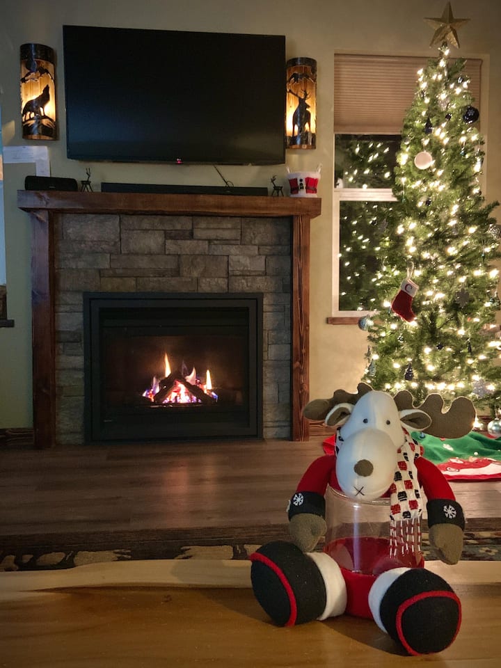 Camp 303-ac/wifi/hot Tub/fireplace - Ashford, WA