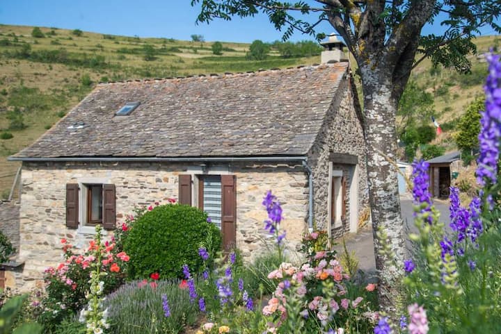Gîtes De France 2/3 Personnes à Malecombe - Mont Lozère