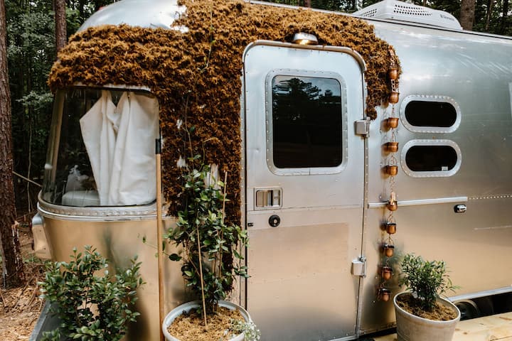 Living Airstream: Garden View, Lake Access - Stone Mountain, GA