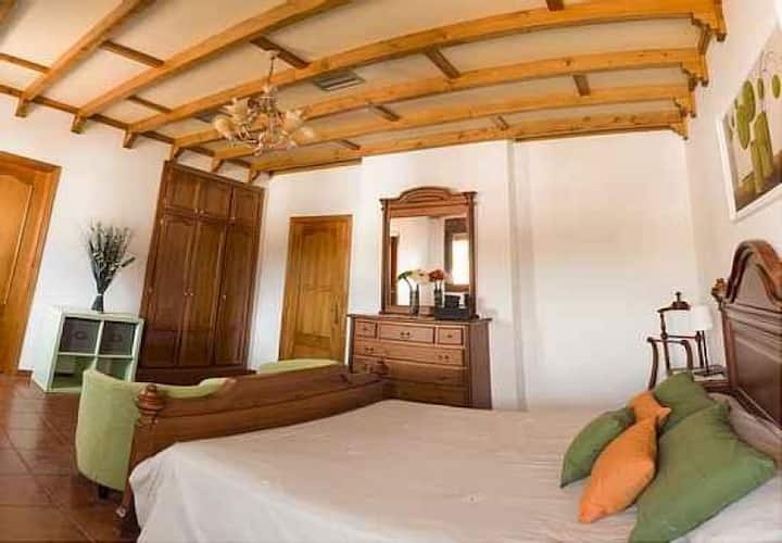 Apartamento Suite (2 Personas) - Pinofranqueado