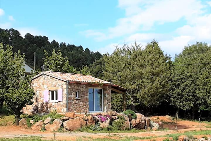 Maison En Pierre En France Avec Piscine & Vignes - Les Vans