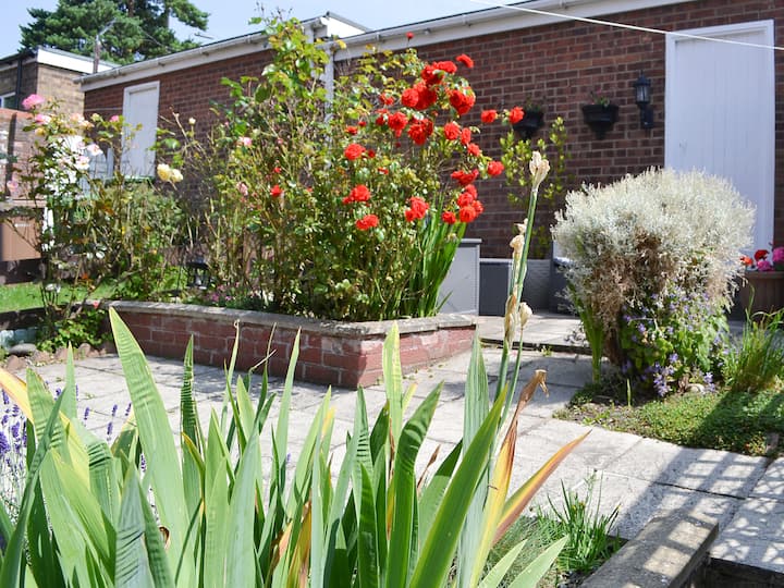 Jackdaw House - Bridlington