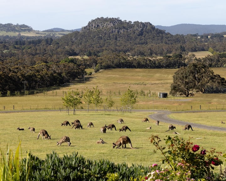 Hanging Rock Views Stunning King Suite - Lancefield