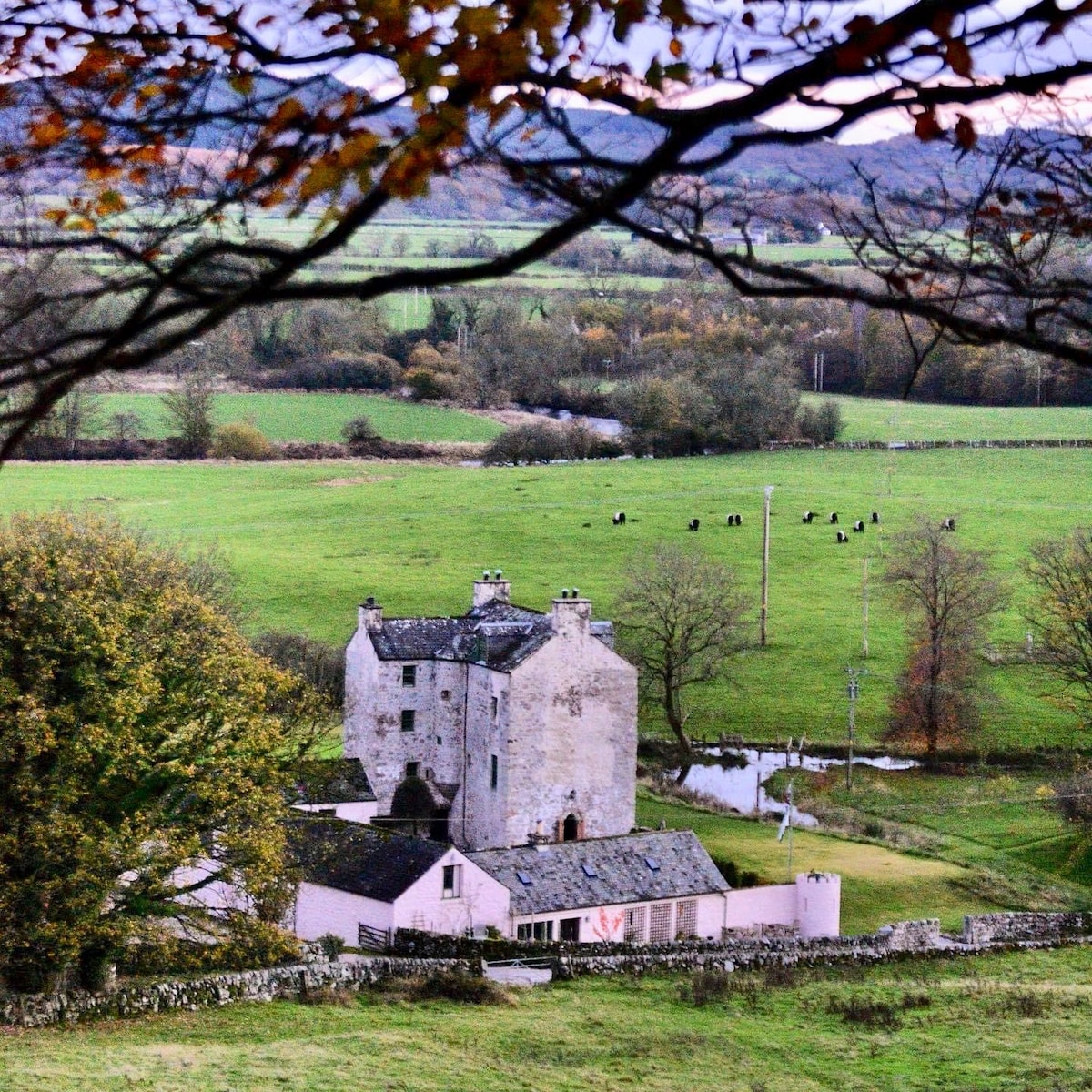 Scotland Castle Rentals | Home and Castle Rentals | Airbnb