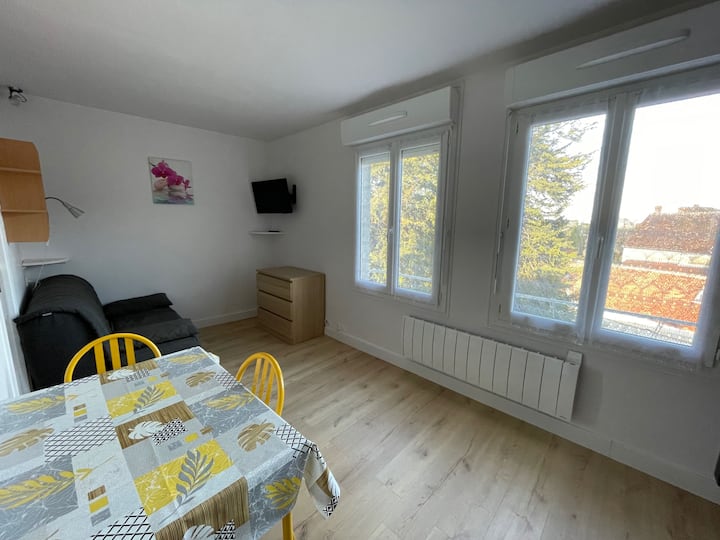 Meublé De Tourisme à La Roche-posay - Parc Arboré - La Roche-Posay