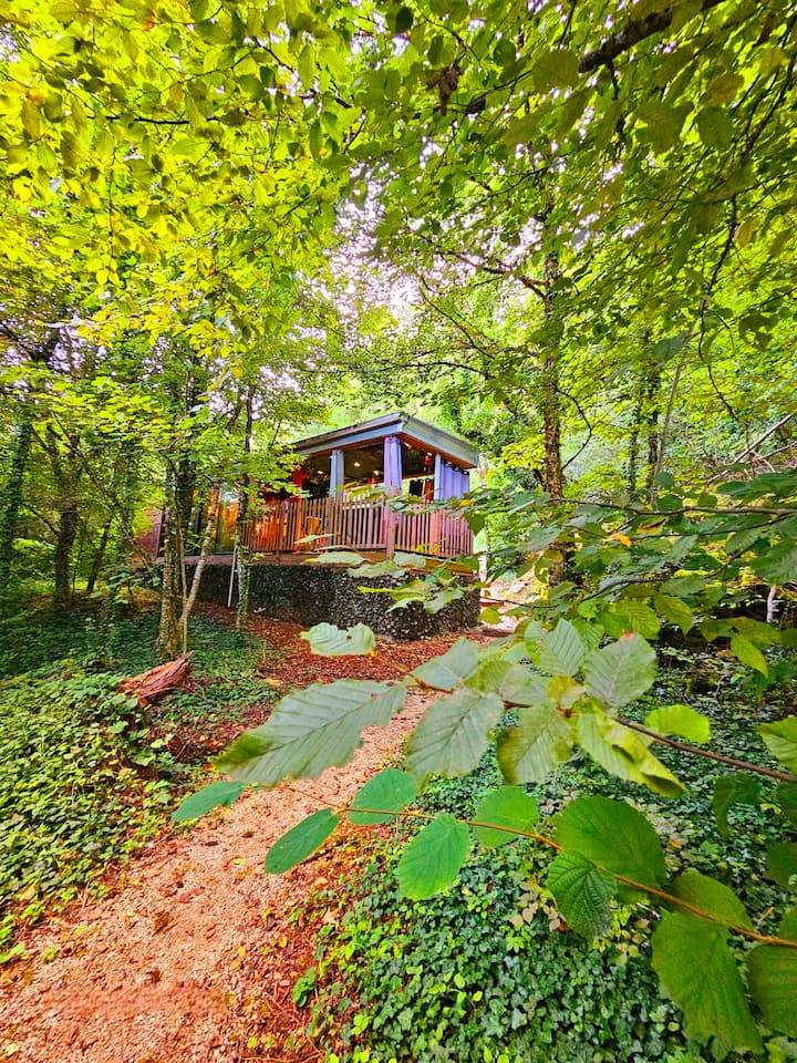 La Cabane Enchanteresse - Haute-Marne