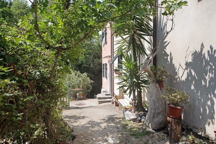 Casa Piani - Moneglia