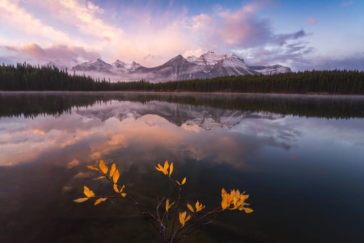 The Elliot By Samsara|2br&2.5 Bathroom - Canmore