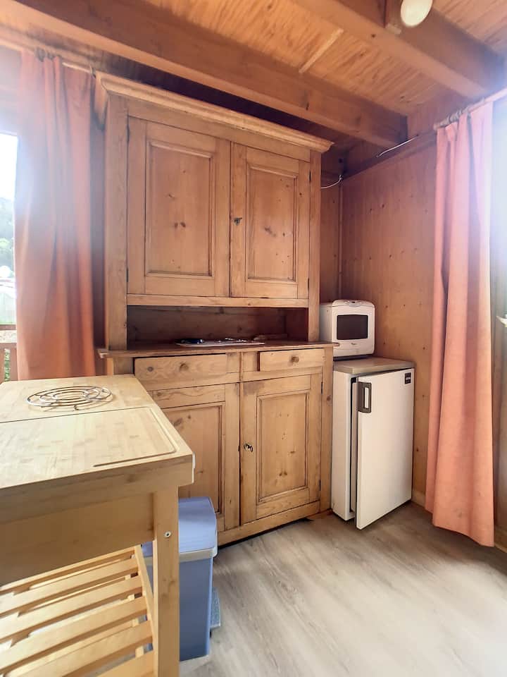 Chblp - Chalet 4/6 Personnes Proximité Des Carroz - Les Carroz d'Arâches