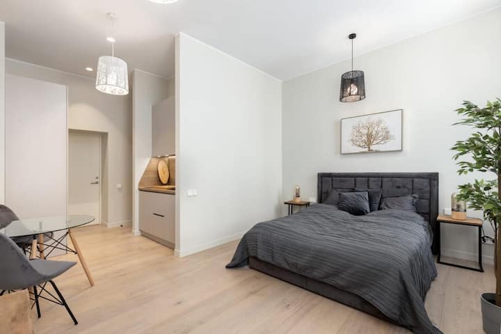 Kalnina Street Modern Studio Apartment in Riga - Apartments for Rent in ...