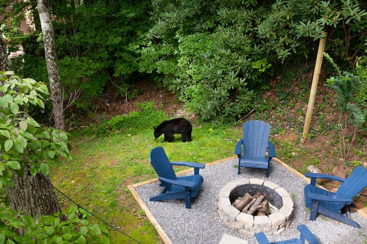 Serenity View - Fire Pit, & Game Room! - Gatlinburg, TN