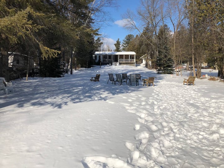 Bobcaygeon Waterfrnt W/games Room-2 King+beds - Bobcaygeon