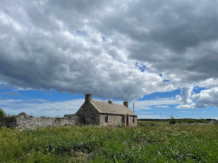 Mey Bee - The Castle & Gardens of Mey