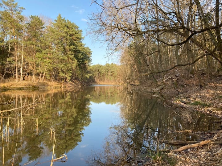 Bungalow Im Wald Am See - Biberspur - Coswig (Anhalt)