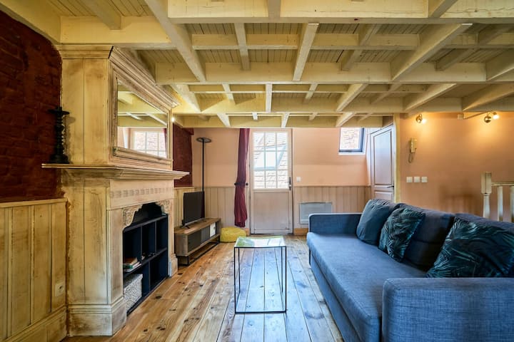 Vieux-lille Appartement Avec Terrasse - Lomme