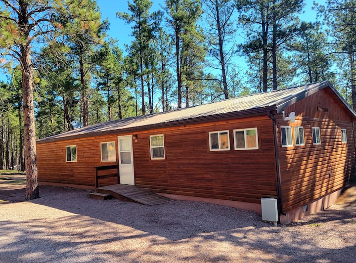 15 Person Retreat Lodge - Keystone, SD