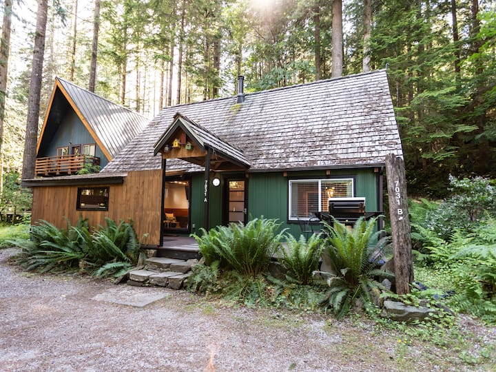 Rustic Mountain Retreat W/private Hot Tub - Glacier, WA