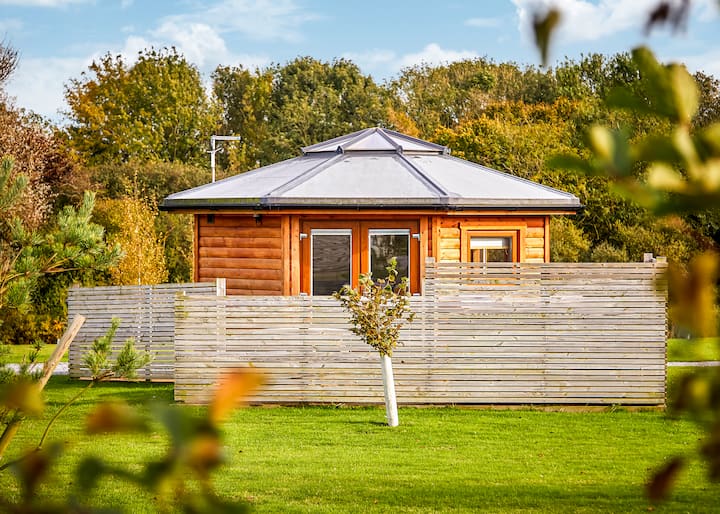 Starlight Wren - Yorkshire