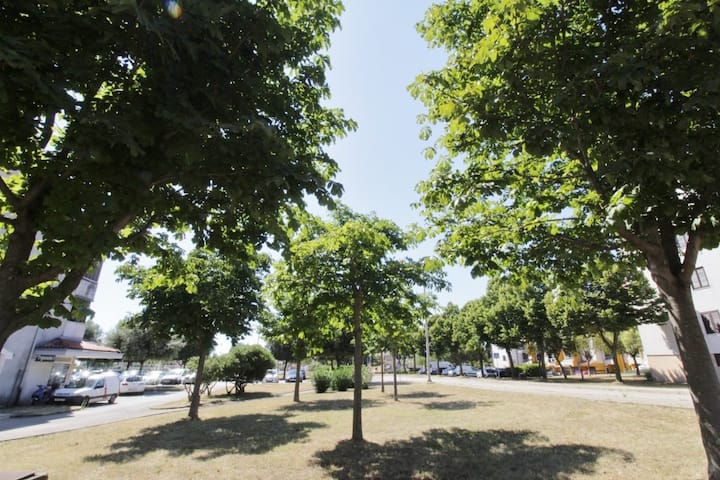 Studio Jana Umag - Umag