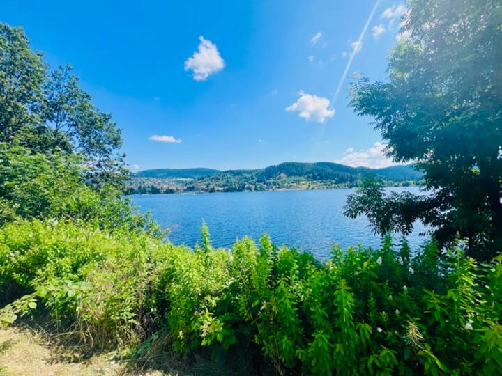 Idéal ! 200 M Du Lac Et Centre-ville - Gérardmer