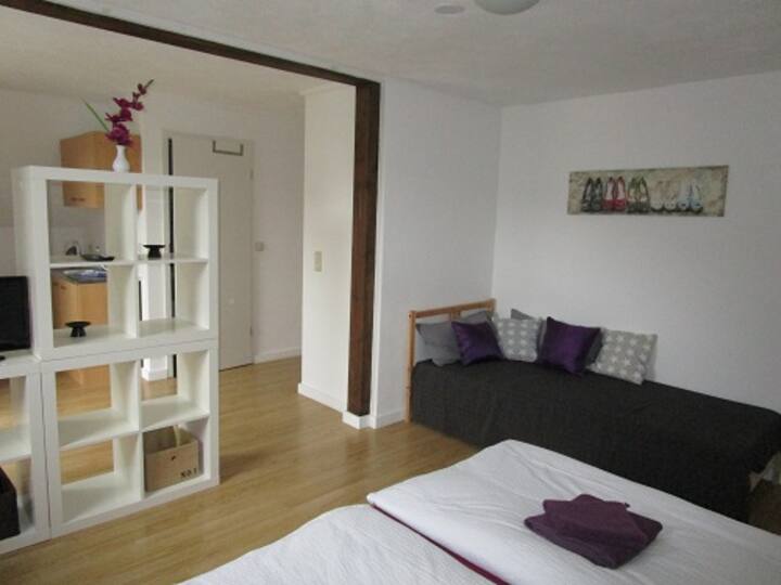 Dreibettzimmer Ensuite Dusche In Der Greizer Kammh - Saxony