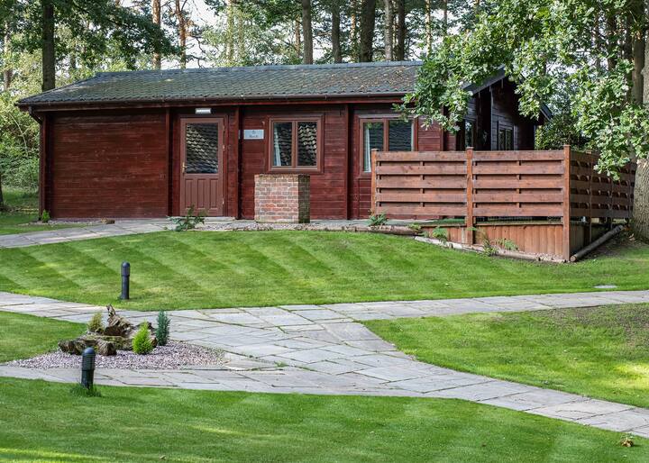 Woodland Beech Lodge - Shropshire