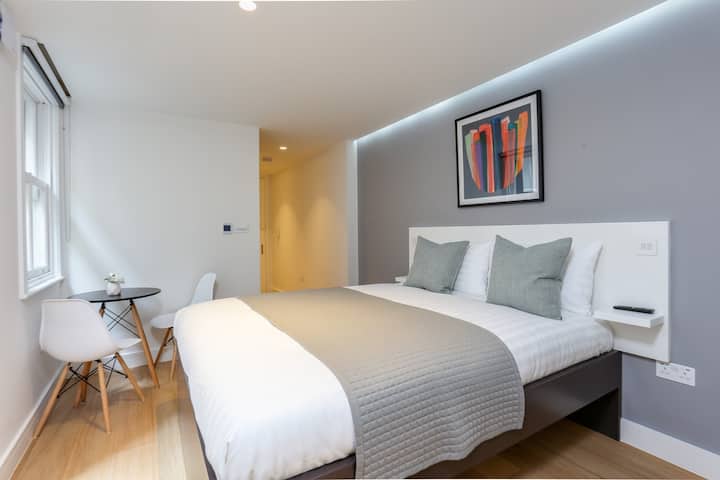 Modern Hyde Park Lower Ground Studio - London
