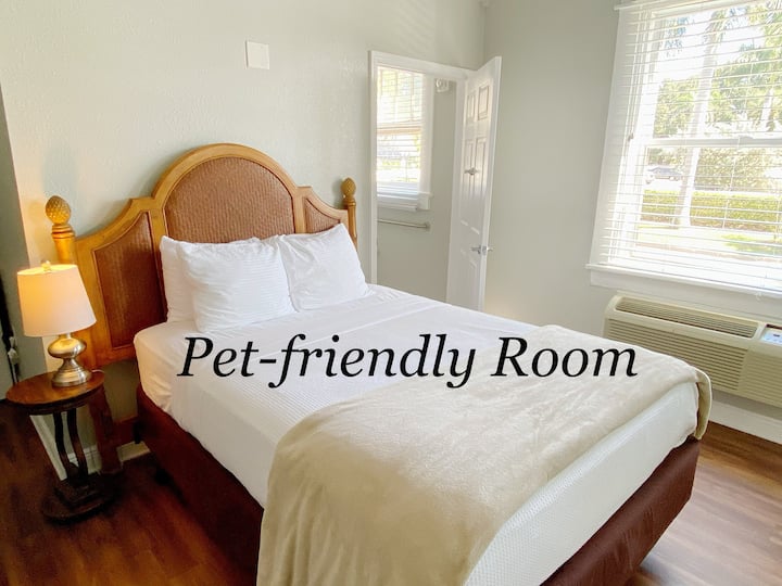 Crystal Bay Hotel - Pet-friendly Ada Queen Deluxe - St. Pete Beach, FL