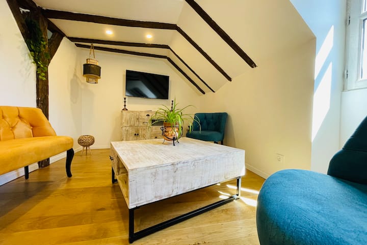 La Suite Cartésienne Dans Un Manoir De Charme Aux - Tours