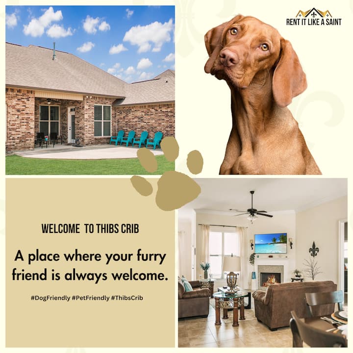 Contractor-ready|pets Ok| 2 Kings + Fast Wifi - Lake Charles, LA