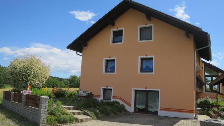 Ferienwohnung Rachel (110qm) Mit Balkon (Ferienwohnung Graf Konrad) - Grafenau