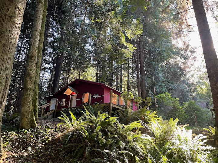 Forested Cottage In The Woods, Near Olympic Park - Port Angeles, WA