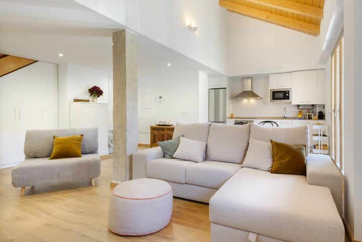 Duplex Campodios Villanua - Canfranc