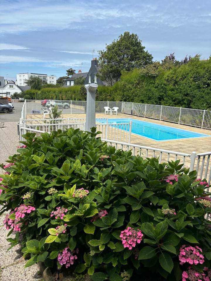 Appart - Studio 2-4 Pers. / Résidence Avec Piscine - Plage Port-Maria