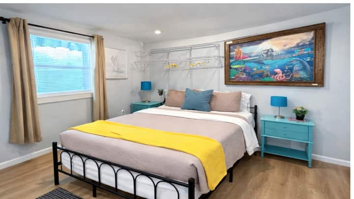 Location, Location! Walk/bike Downtown & Pier - St. Petersburg, FL