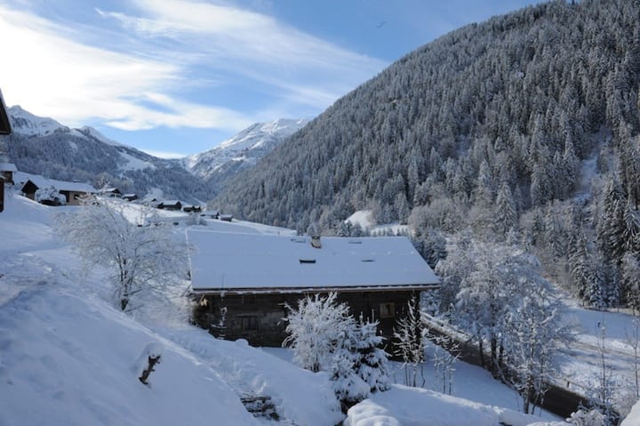 Appartment In An Individual Chalet - Beaufort