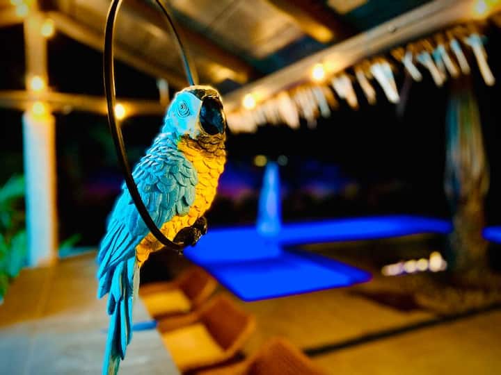 Island Breeze - Tiki Bar/pool/spa/sleeps 10 - Indio, CA