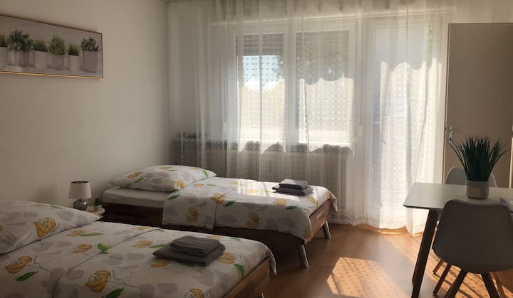 Studio Near Basel Airport Rm1185 - Basel