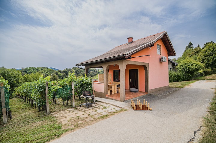 Holiday Home Vesna With Sauna - Samobor