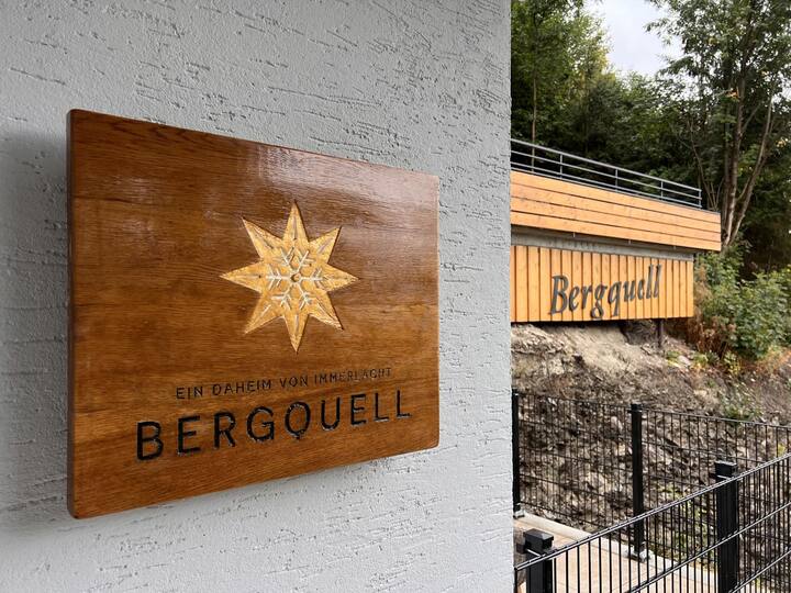 Haus Bergquell App 4 - Willingen