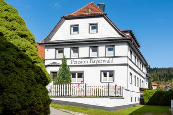 Mehrbettzimmer (Pension Bayerwald) - Bodenmais