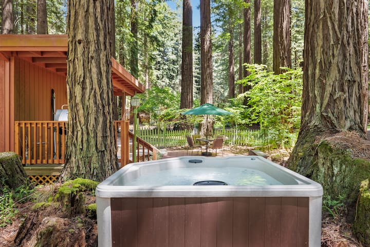 Serene Setting In Redwoods, Hot Tub, 30 Nt Min - Bodega Bay, CA