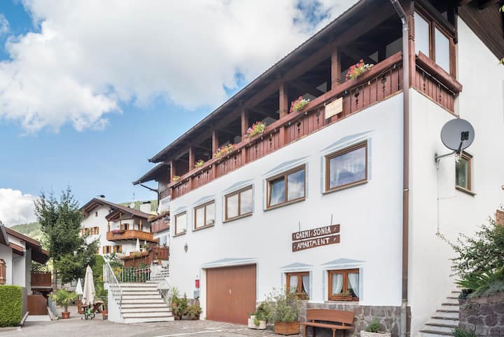 Pension Sonia App 103 - Ortisei