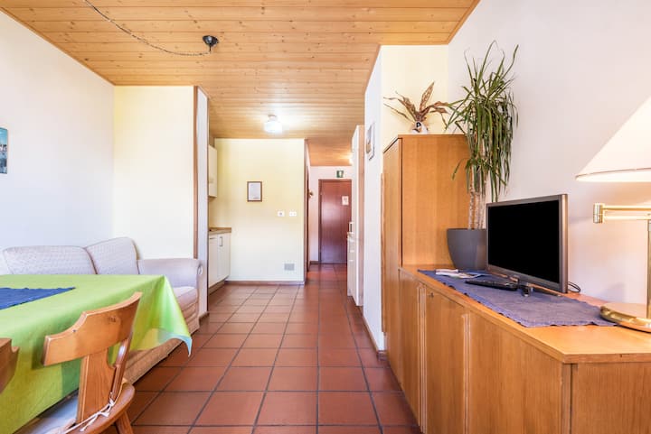 Pension Sonia App 104 - Val Gardena